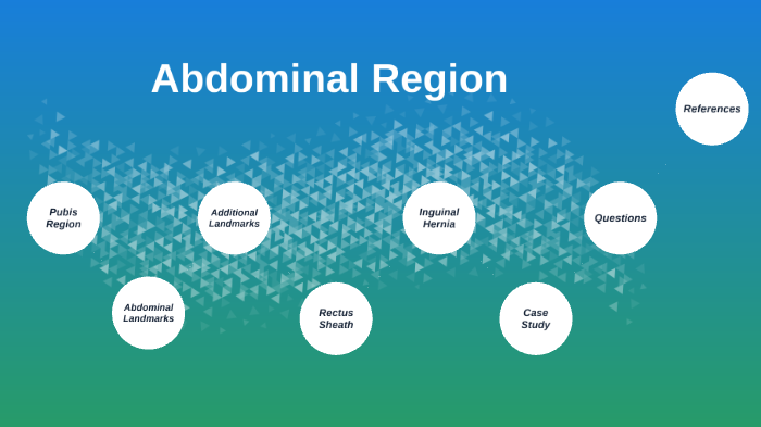 Case Study by Benjamin Paquette on Prezi