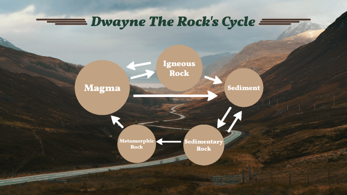 Dwayne The Rock's Cycle by Chloe Dutcher on Prezi
