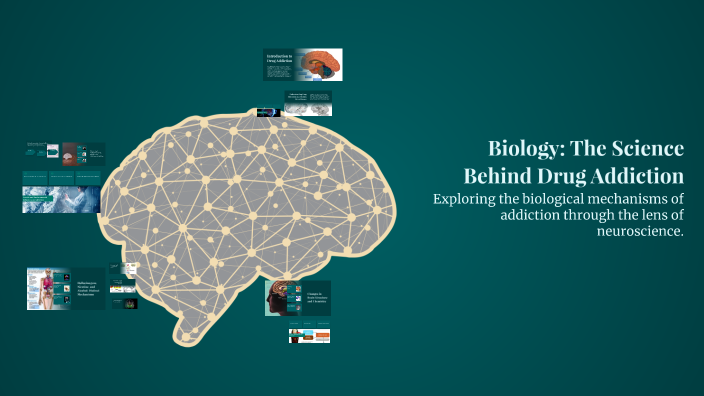 Biology: The Science Behind Drug Addiction by Hibah Wani on Prezi