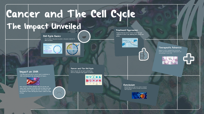 Cancer and Cell Cycle by MARIA SILVA on Prezi