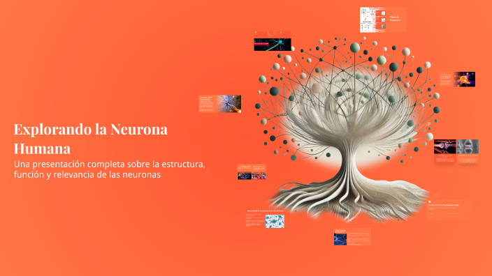Explorando la Neurona Humana by FROYLAN jimenez sanchez on Prezi