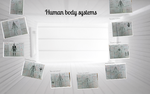 Human body systems answer key by Eunah Kim on Prezi