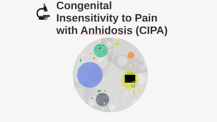 Congenital Insensitivity to Pain with Anhidosis (CIPA) by Abby Lister ...