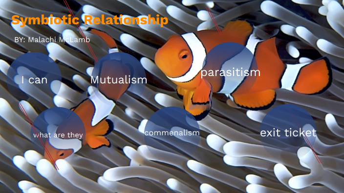symbiotic relationship by Malachi McLamb on Prezi