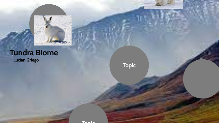 Tundra Biome by Lucian Griego on Prezi