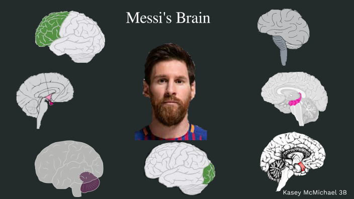 Messi's Brain by Kasey McMichael on Prezi