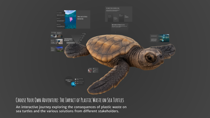 Choose Your Own Adventure: The Impact of Plastic Waste on Sea Turtles ...