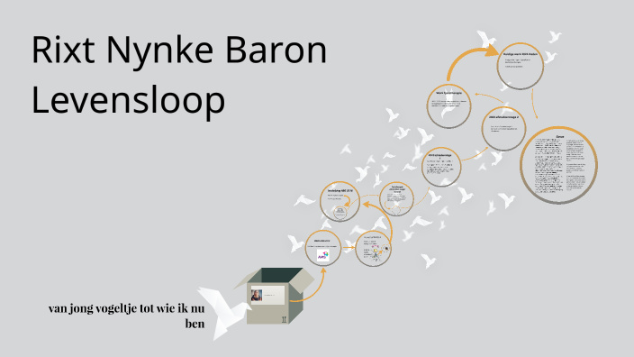 Levensloop Rixt Nynke Baron by RixtNynke Baron on Prezi