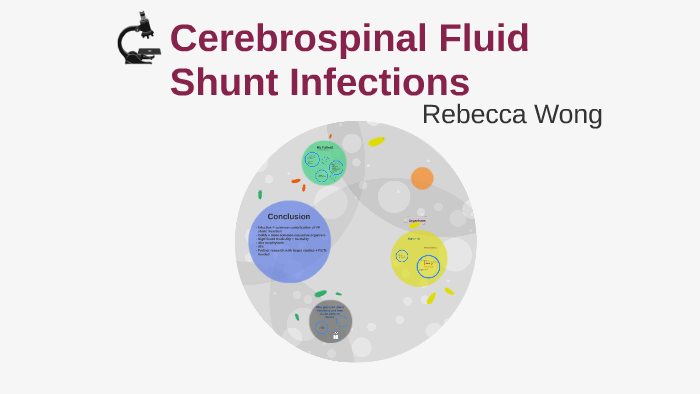 Cerebrospinal Fluid Shunt Infections by Rebecca Wong on Prezi