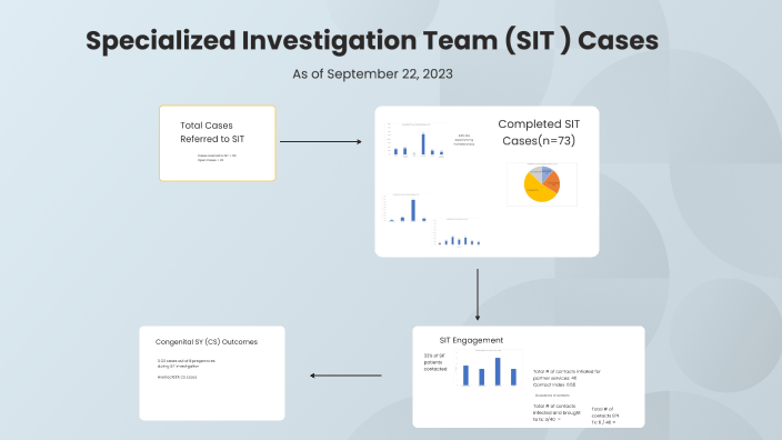 SIT Flow Chart by Sergio JImenez on Prezi