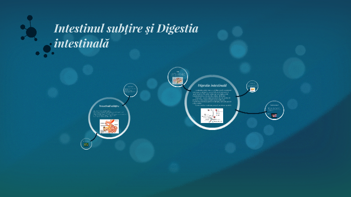 Intestinul subtire si Digestia intestinala by Radu Matei on Prezi