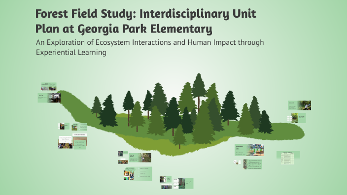 Forest Field Study: Interdisciplinary Unit Plan at Georgia Park ...