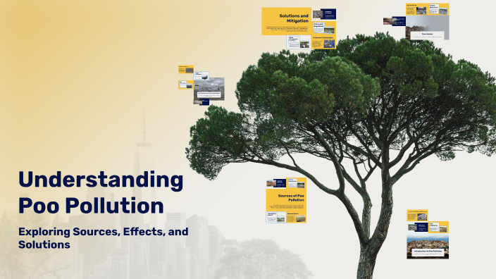 Understanding Poo Pollution by TARIK AIT SAID on Prezi