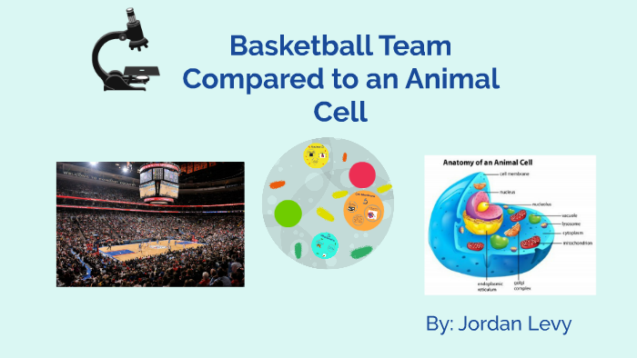 Basketball Team Compared to an Animal Cell by Jordan Levy on Prezi