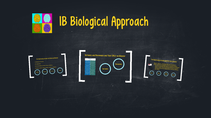 IB Biological Approach 2022 by on Prezi