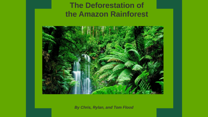 The Deforestation of the Amazon Rainforest by Chris K. on Prezi Next