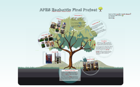 APES Eco-bottle Final Project by Philip Yoon