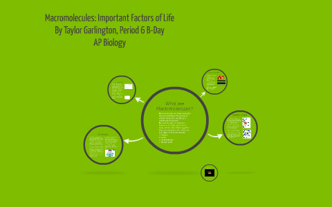 Macromolecules: Important Factors of Life by Taylor Garlington on Prezi