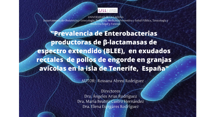 E. coli BLEE by Rossana Abreu on Prezi