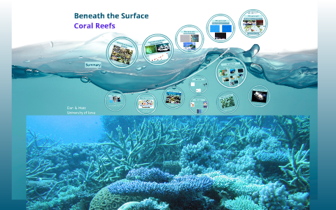 Beneath the surface: coral reefs by Danwei Huang on Prezi