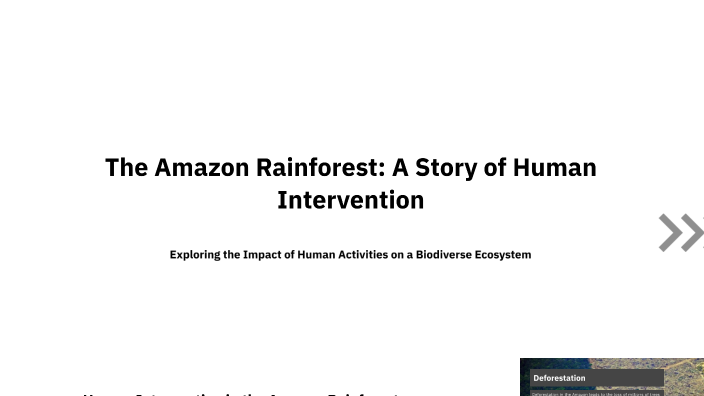 The Amazon Rainforest: A Story of Human Intervention by Rawane Haidar ...