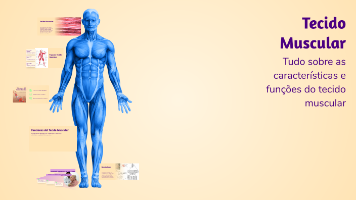 Tecido Muscular by Estheffany Gabrielly on Prezi