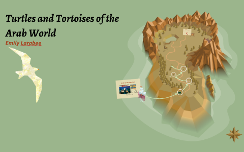 Turtles of the Arab World by Emily Larabee on Prezi
