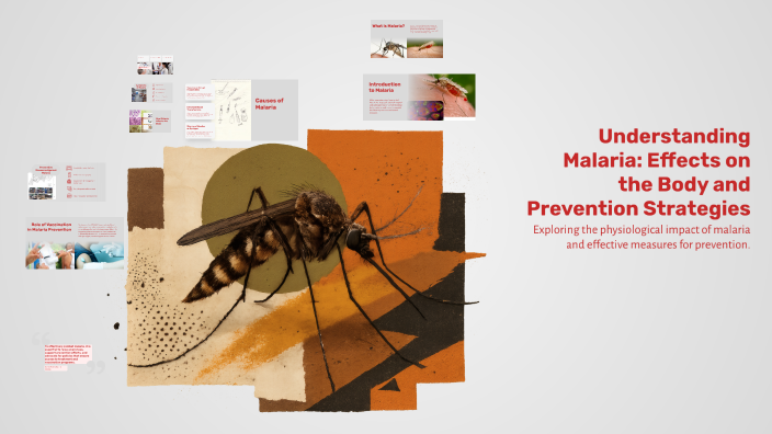 Understanding Malaria: Effects on the Body and Prevention Strategies by ...