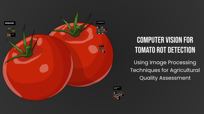 Computer Vision for Tomato Rot Detection by mohammed sameh on Prezi