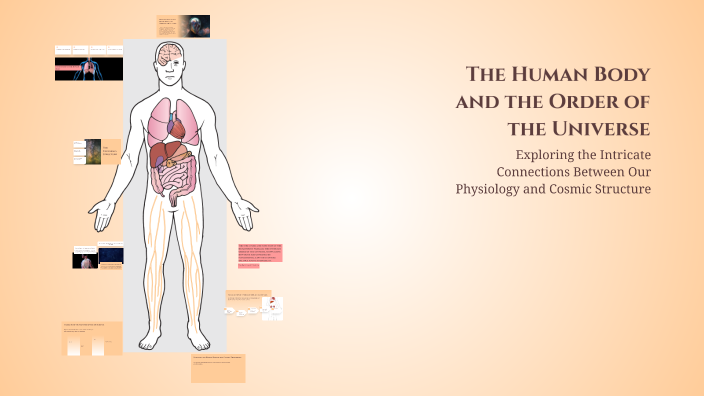 The Human Body and the Order of the Universe by günay kıransoy on Prezi