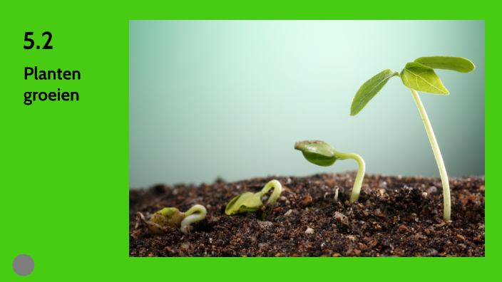 5.2 Planten groeien by J van Rooden on Prezi