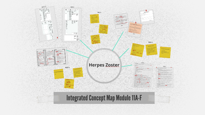 Integrated Concept Map Module 11A-F by Gail Laurino on Prezi