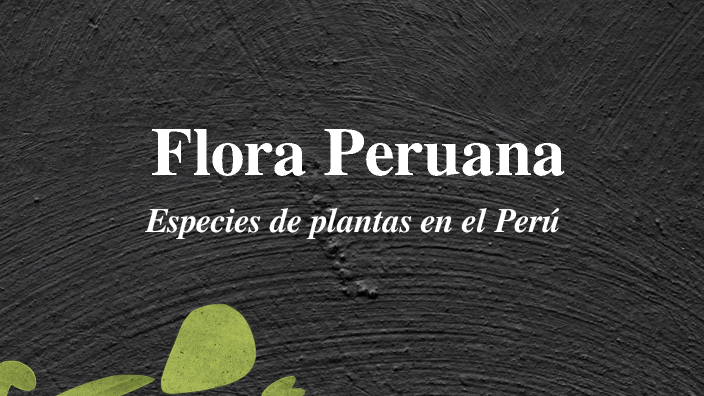 Flora en la selva Peruana by Francis Castillo Marín on Prezi