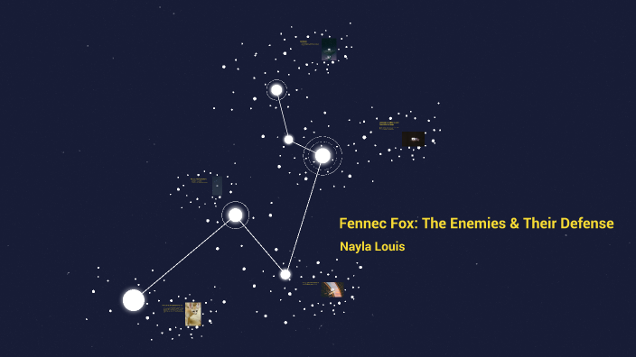 Fennec Fox: The Enemies Defense by Nayla Louis on Prezi