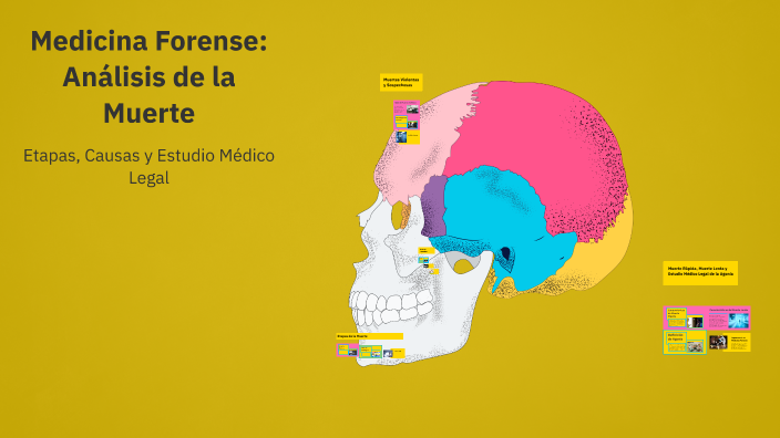 Medicina Forense: Análisis de la Muerte by Cesar Palacios on Prezi