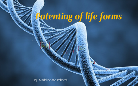 Patenting of life forms by on Prezi
