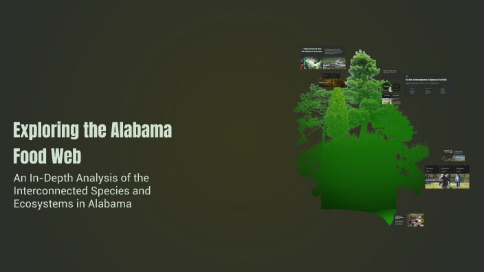 Exploring the Alabama Food Web by Mayson Brown on Prezi