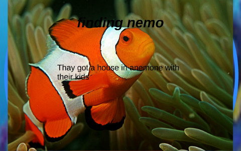 finding nemo by Dorian Mitchell on Prezi