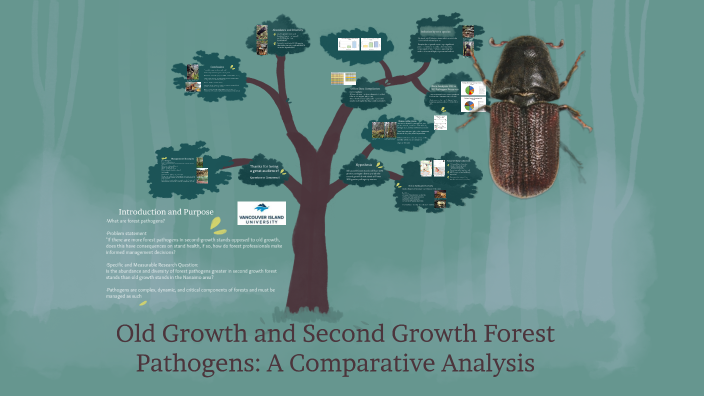 Old-growth and Second Growth Forest Pathogens: A Comparative Analysis ...