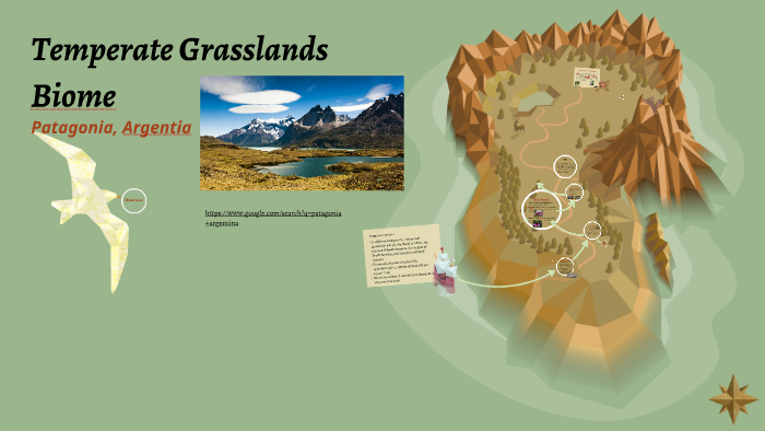 Temperate Grasslands Biome by Austin Woodley on Prezi