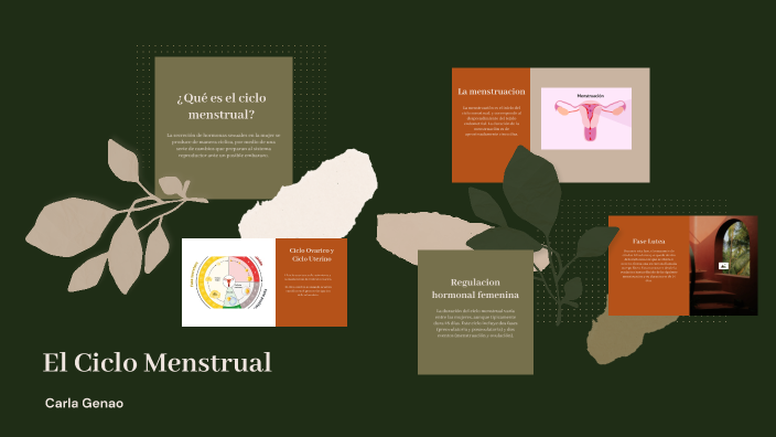 El Ciclo Menstrual by Carla Genao on Prezi