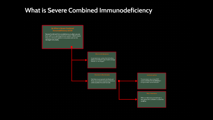 What is Severe Combined Immunodeficiency by Ty Schneider on Prezi