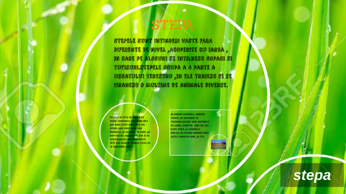 STEPA SI SILVOSTEPA by Diana Morari on Prezi
