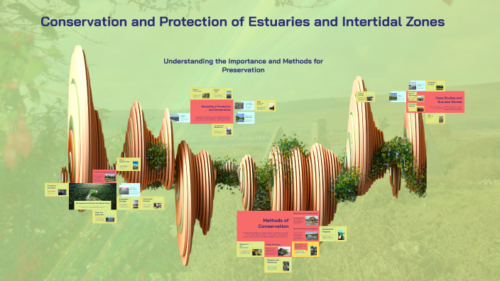 Conservation and Protection of Estuaries and Intertidal Zones by ...