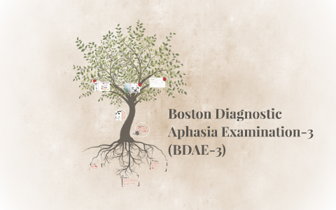 Boston Diagnostic Aphasia Examination-3 (BDAE-3) by Yuhan Mou on Prezi