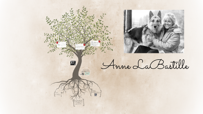 Anne LaBastille by Hailey Hammick on Prezi