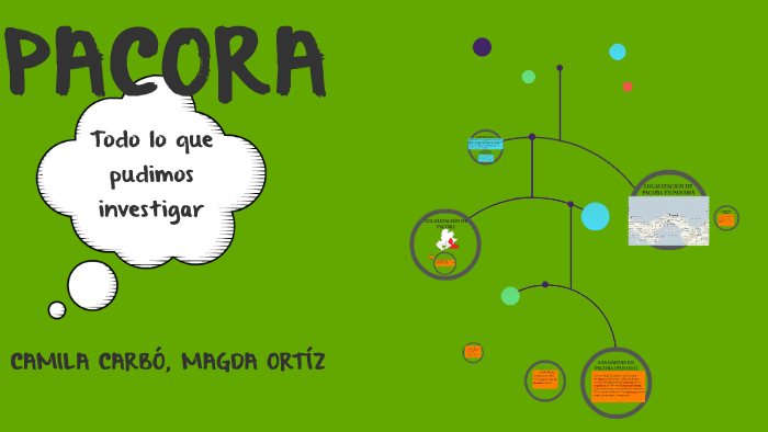 PACORA by Camila Carbó on Prezi