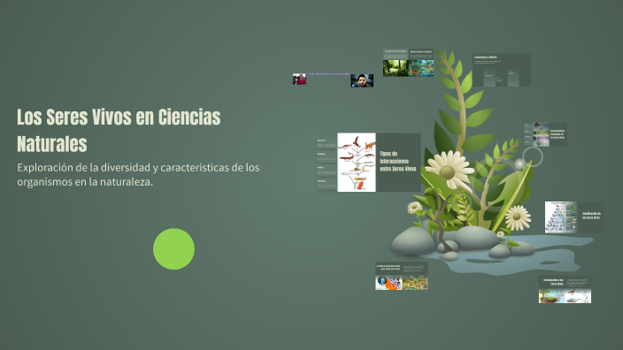 Los Seres Vivos en Ciencias Naturales by Mishel Allison Arias Jaramillo ...