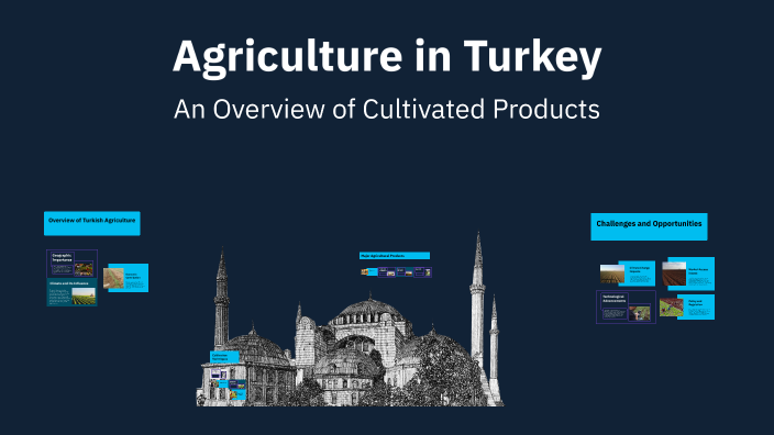 Agriculture in Turkey by Ariunzul Nyamdavaa on Prezi