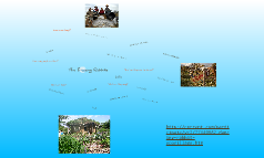 The Dancing Rabbit Community by Cherie Kwan on Prezi